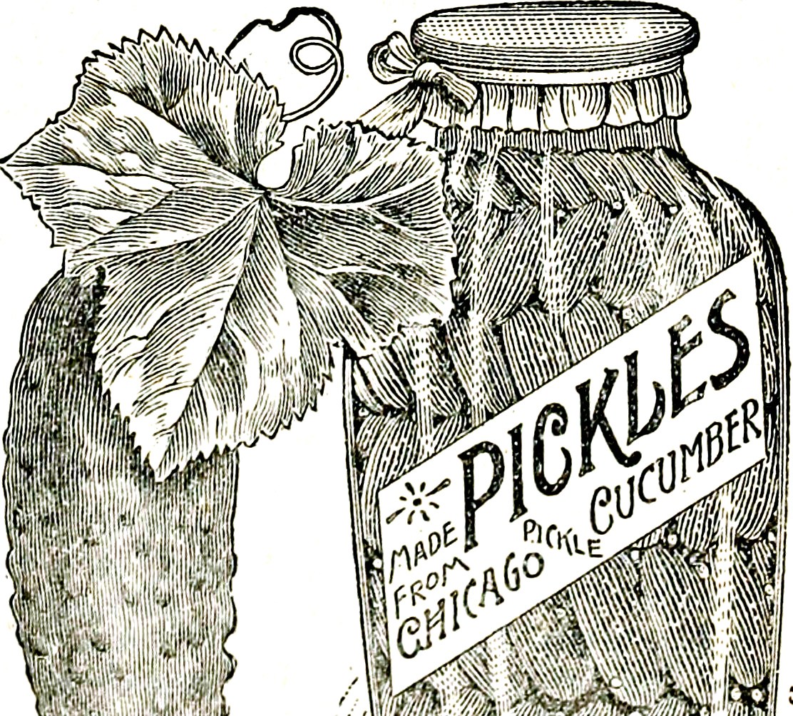 Freddy McNickels, by Pat Severin – ~ PURE IN HEART