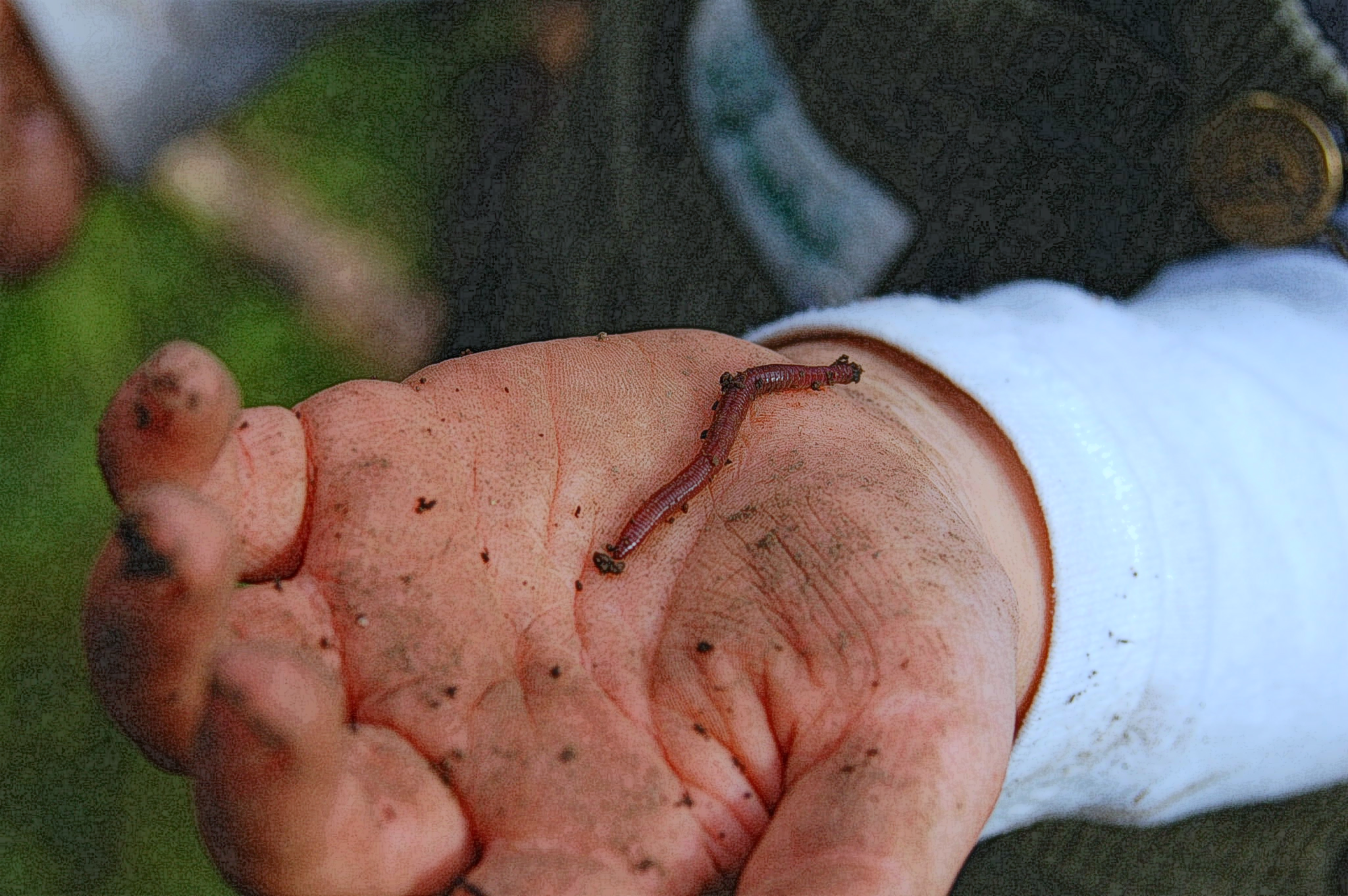 The Friendless Week, by Erin Fanning – ~ PURE IN HEART